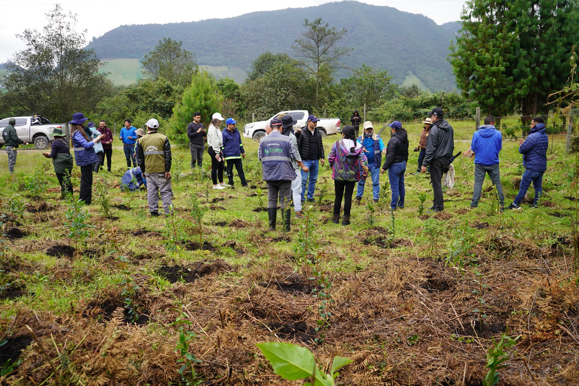 Viabilidad social y fortalecimiento comunitario – ECODES