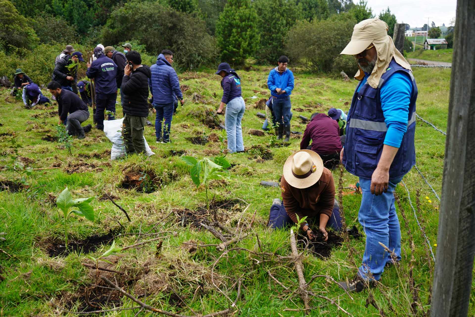 Viabilidad social y fortalecimiento comunitario – ECODES